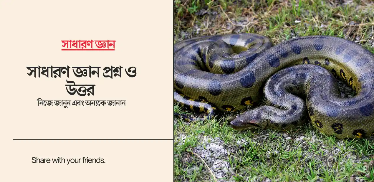 সাধারণ জ্ঞান প্রশ্ন ও উত্তর | সাধারন জ্ঞান – কিছু গুরুত্বপূর্ণ তথ্য -প্রশ্ন ও উত্তর - Get Study ...